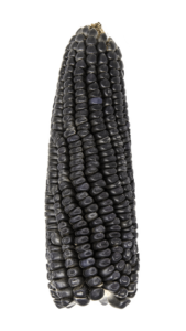 Tamoa — Cónico Azul (State of Mexico)